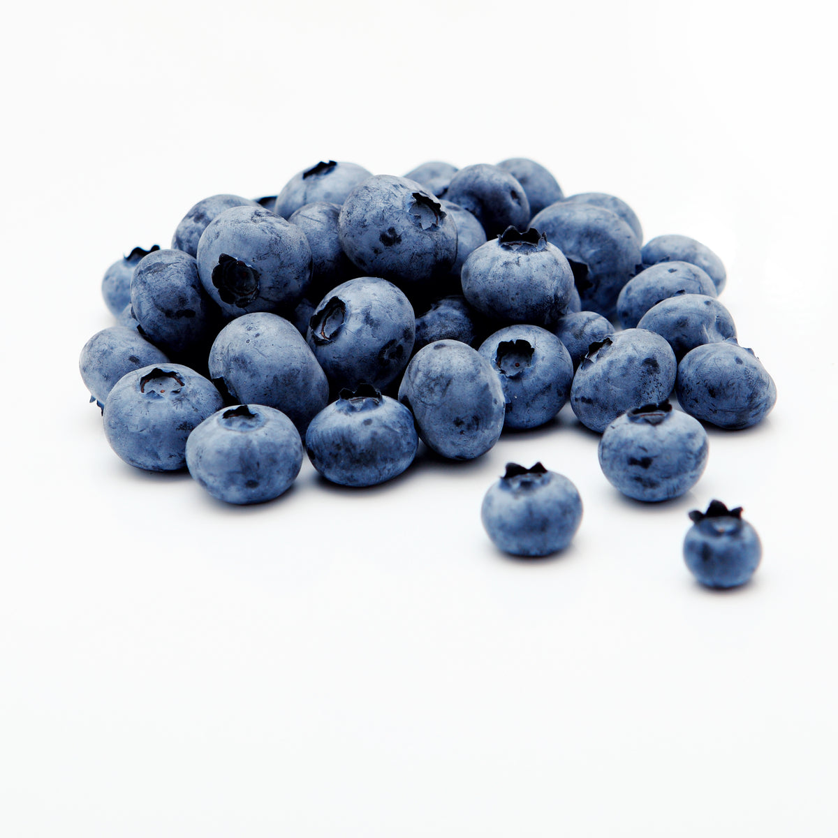 BLUEBERRIES – Lady Providore