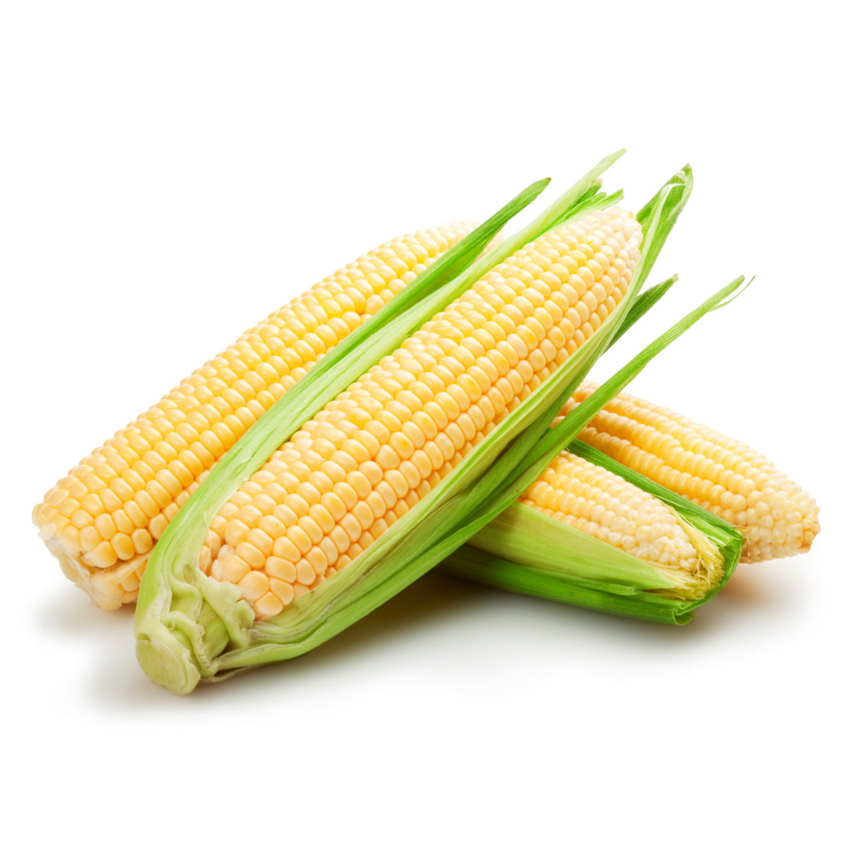 CORN - BOX – Lady Providore