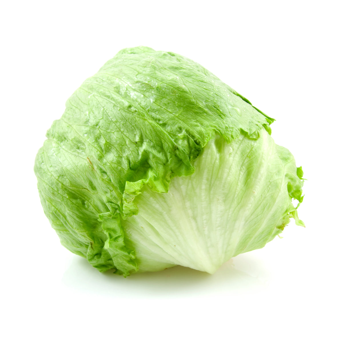 LETTUCE ICEBERG - Box (12) – Lady Providore