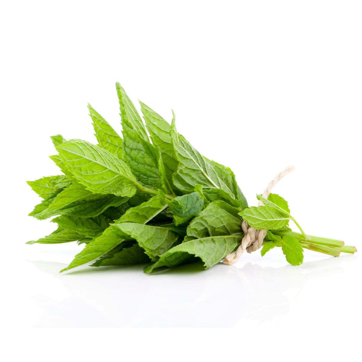MINT - Bunch – Lady Providore