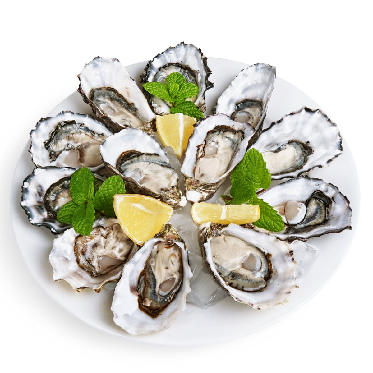 OYSTERS - SYDNEY ROCK Dozen ( Large ) – Lady Providore