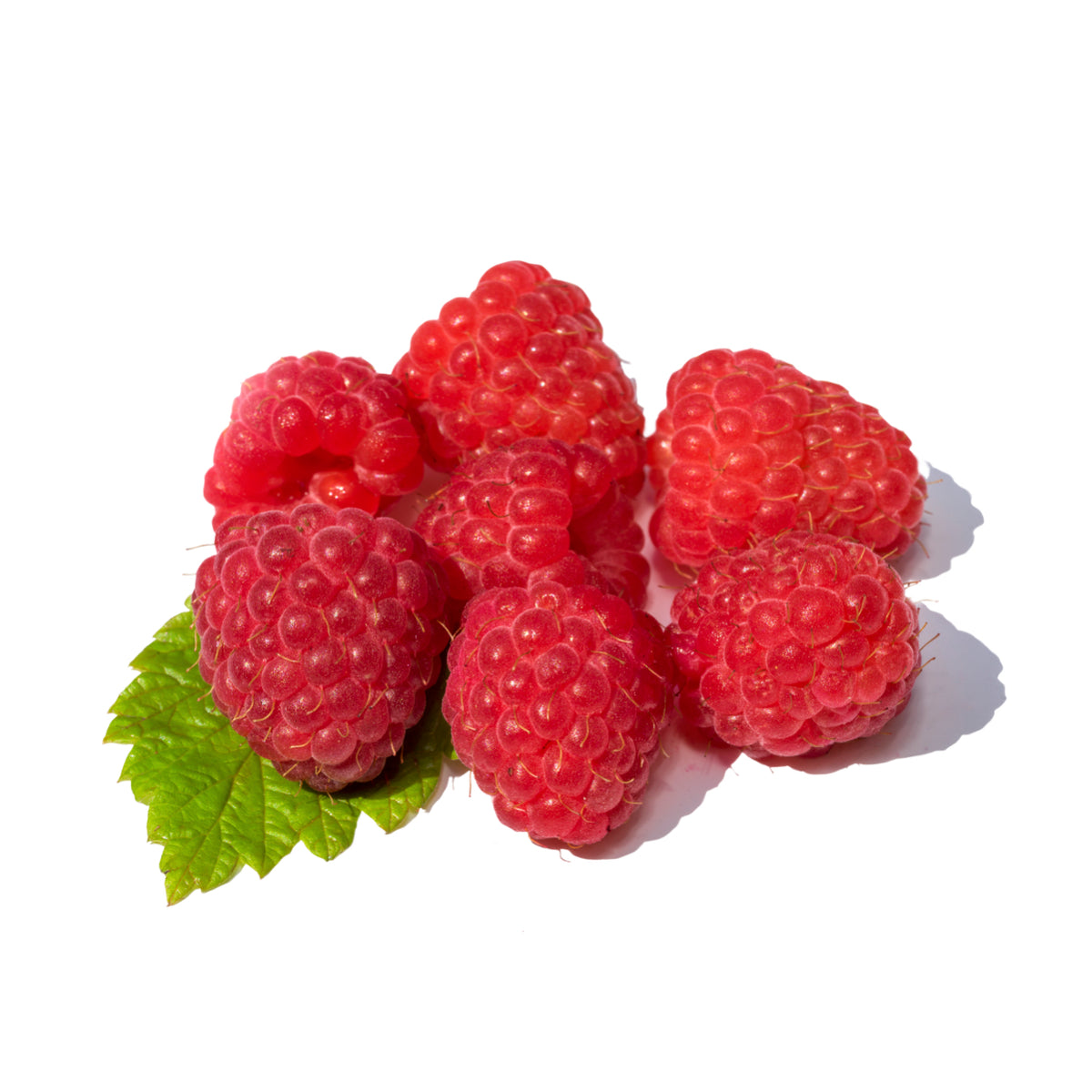 RASPBERRIES - 125g Punnet – Lady Providore