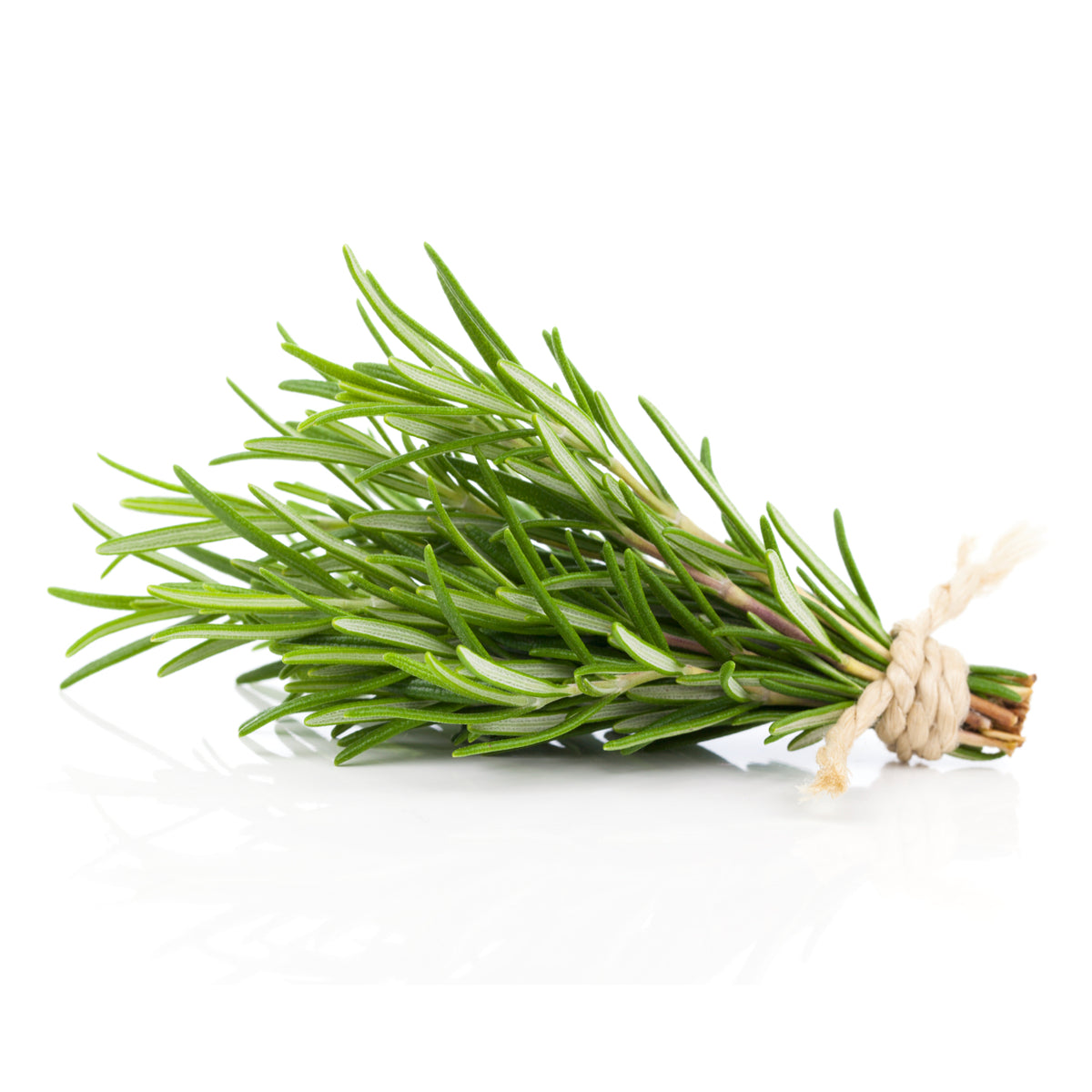 ROSEMARY - Bunch – Lady Providore