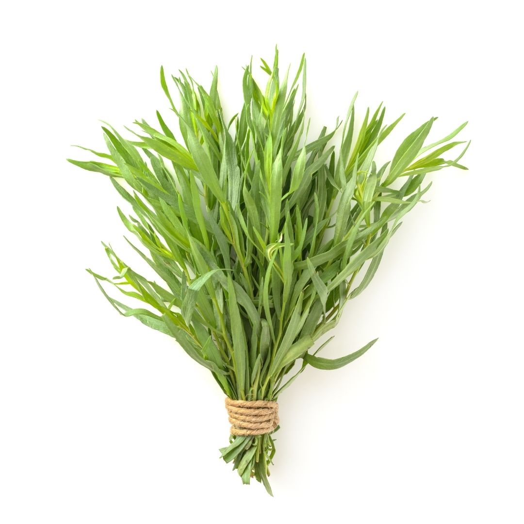 TARRAGON - Bunch – Lady Providore