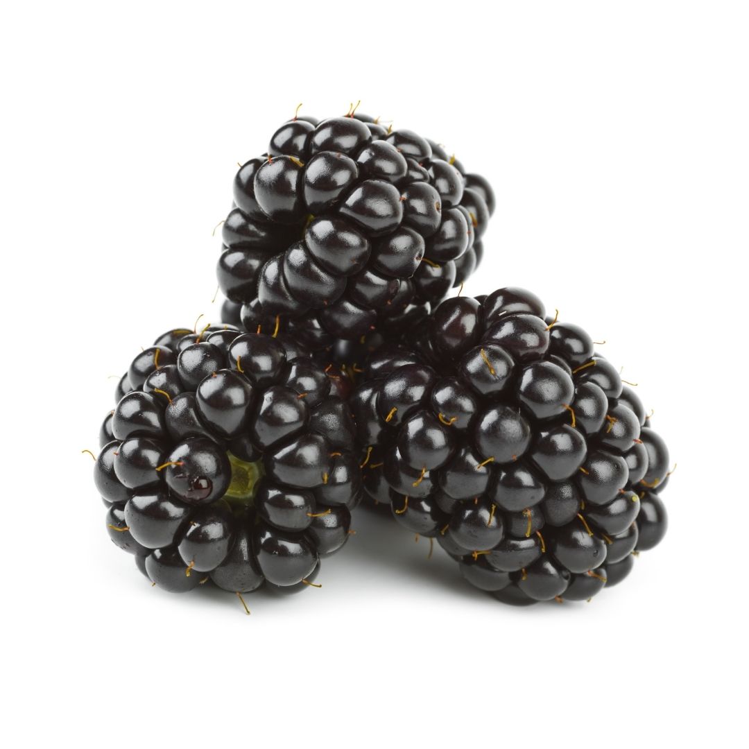 BLACKBERRIES - 125g punnet – Lady Providore