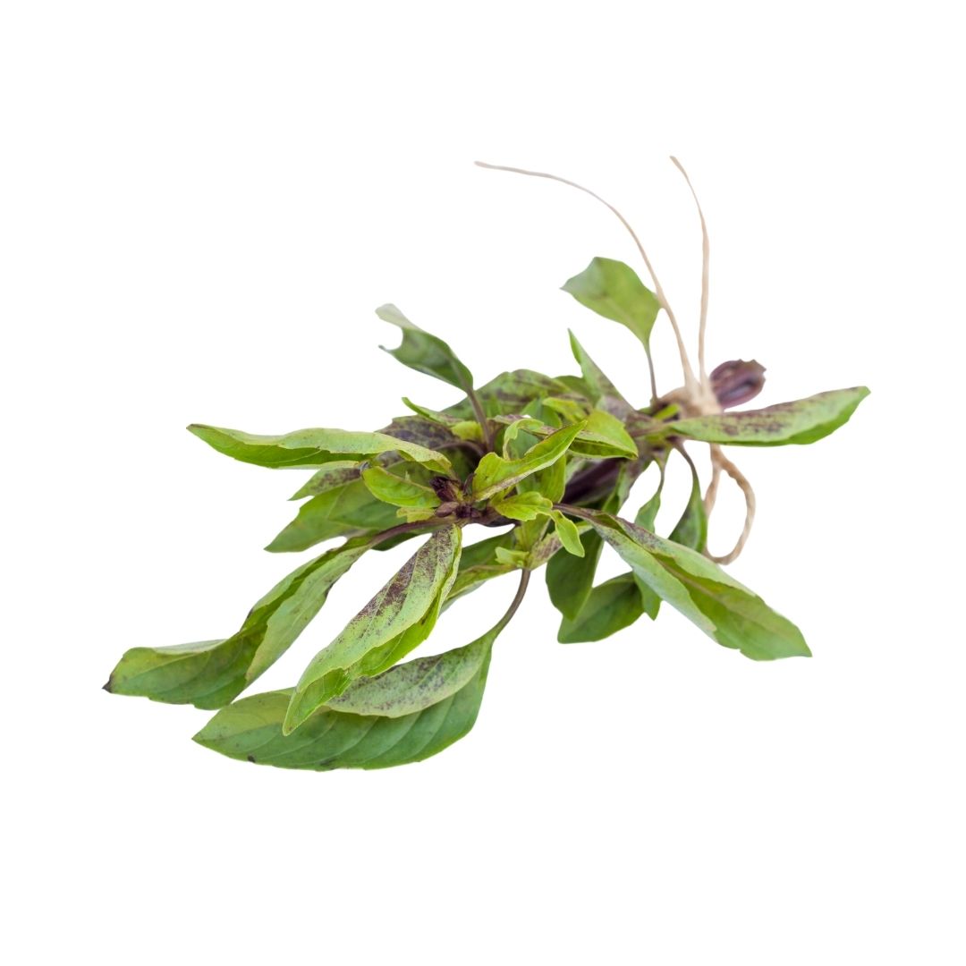 BASIL THAI - Bunch – Lady Providore