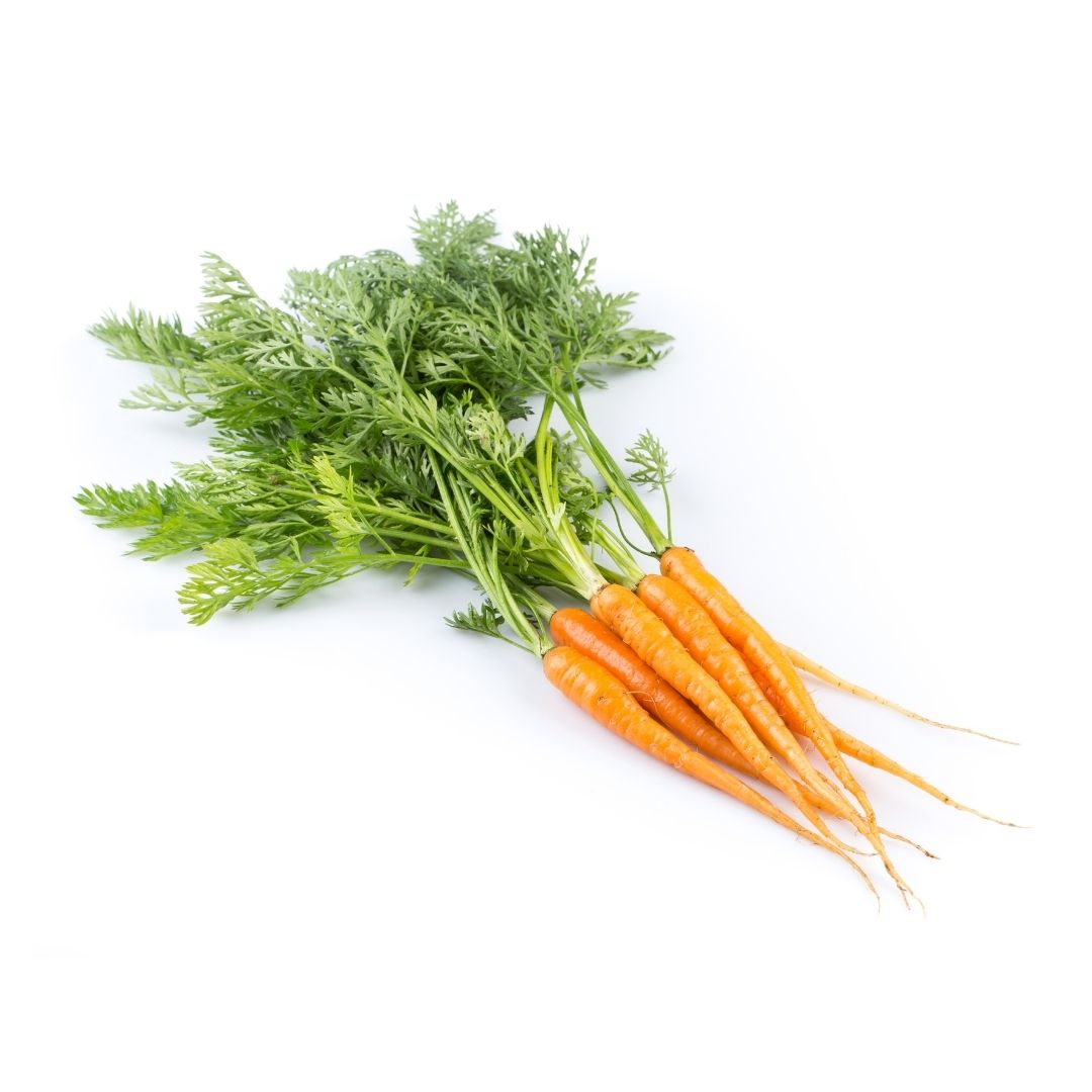 CARROT DUTCH - bunch – Lady Providore